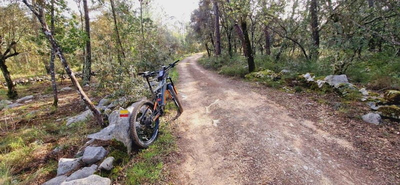 Fátima: E-Bike Tour to Dinosaur Footprints Natural Monument - Practicalities & Value