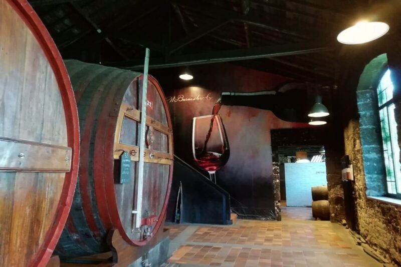Fátima: Private Porto Tour - The Sum Up