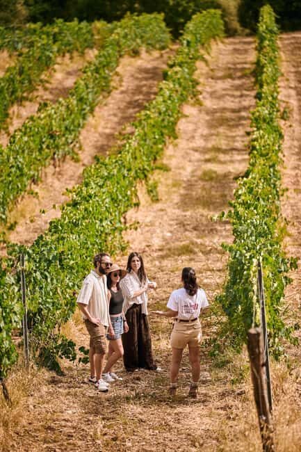 Fattoria La Leccia, Monterspertoli: vineyard walk & tasting - Fattoria La Leccia, Monterspertoli: Vineyard Walk & Tasting
