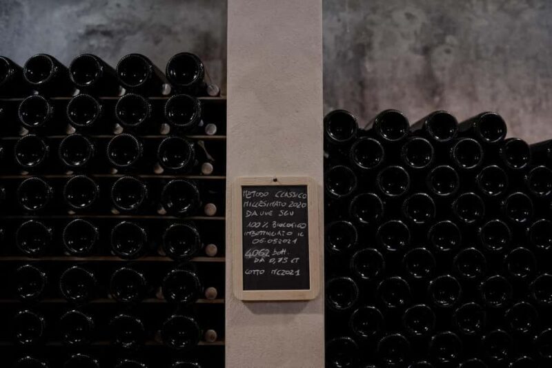 Fattoria La Leccia: Winery Tour and Tastings in Montespertoli - Key Points