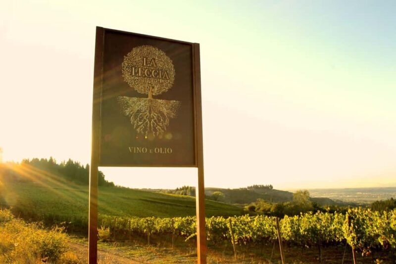 Fattoria La Leccia: Winery Tour and Tastings in Montespertoli - Practical Considerations