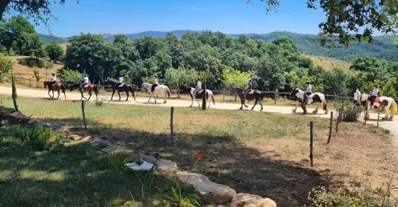 Fattoria Tègoni: horseback riding in Tuscany - Who Will Appreciate This Experience?