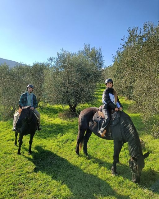 Fattoria Tègoni: horseback riding in Tuscany - Final Thoughts