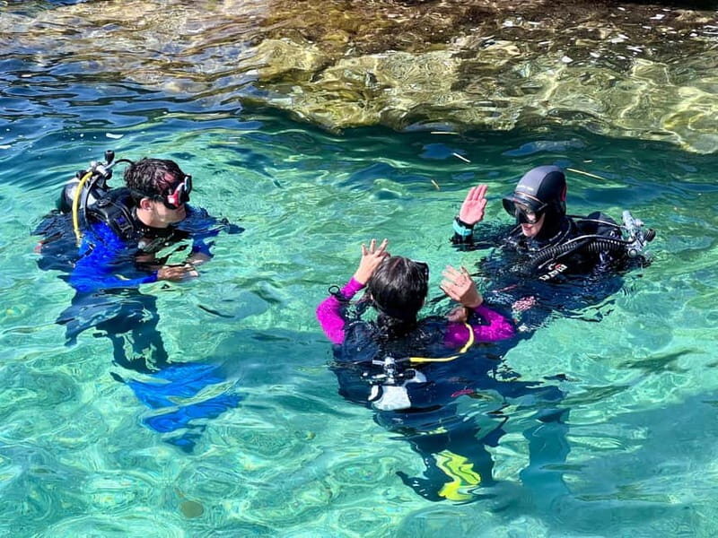 Favignana: Baptism of the sea - Scuba diving trial - Key Points