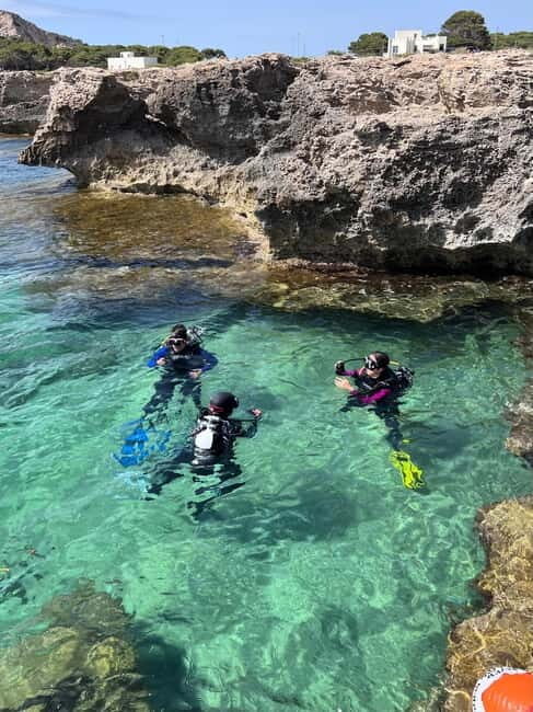 Favignana: Baptism of the sea - Scuba diving trial - The Experience: What You Can Expect