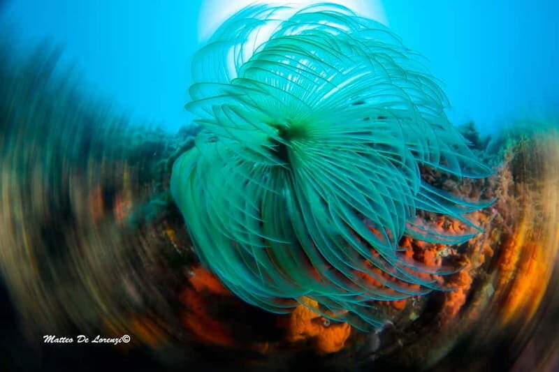 Favignana: Baptism of the sea - Scuba diving trial - What’s Included and What to Bring