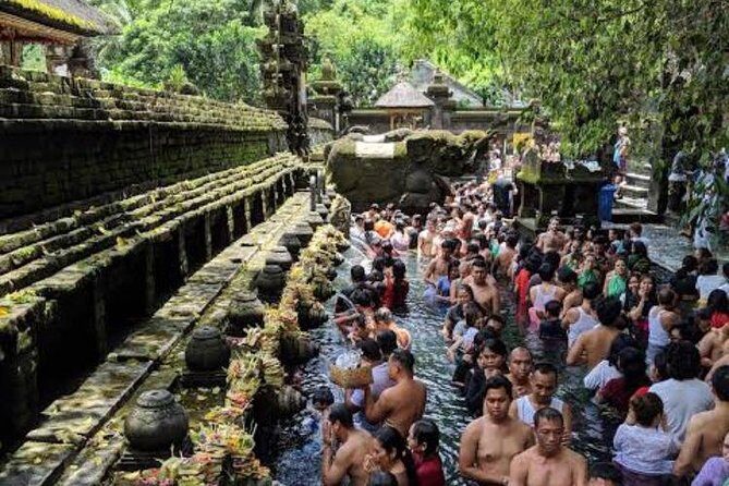 Favorite Sites of Ubud Daytrip - Who Is This Tour Best For?