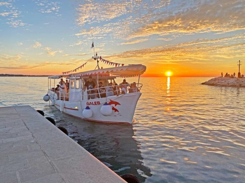 Fazana: Dolphin Finder in Brijuni islands Safari with Dinner - The Sum Up
