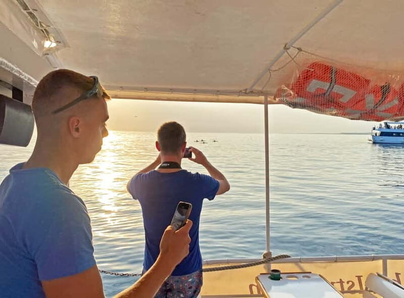 Fazana: Dolphin Finder in Brijuni islands Safari with Dinner - FAQ