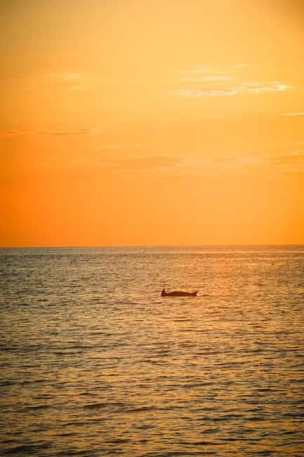 Fazana: Dolphin/Sunset Tour - A Clear Look at the Experience