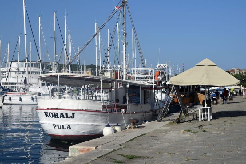 FAZANA Koralj DOLPHIN Boat Tour NP Brijuni - Authenticity and Traveler Insights