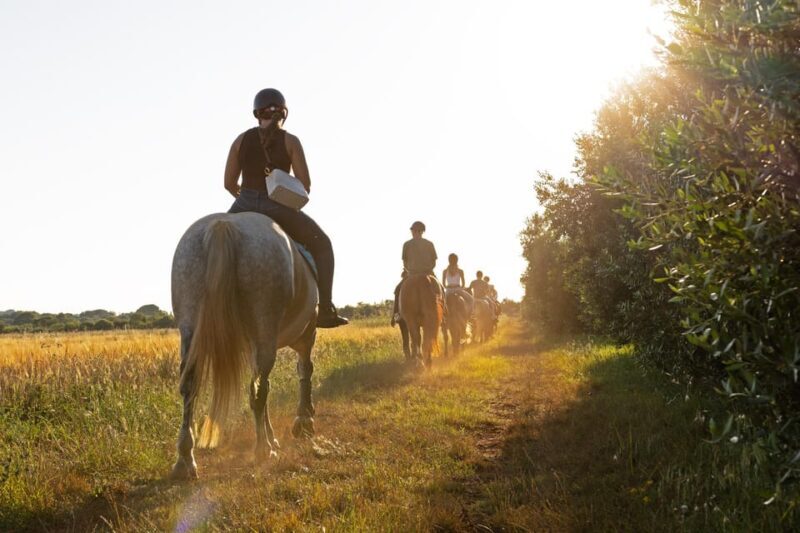 Fazana: Sunset 1-hour Horse Riding in Nature with Guide - A Deep Look at the Experience