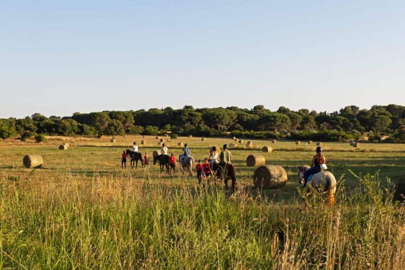 Fazana: Sunset 1-hour Horse Riding in Nature with Guide - Authentic Feedback from Other Travelers