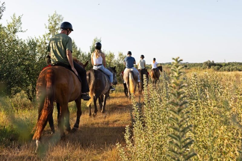 Fazana: Sunset 1-hour Horse Riding in Nature with Guide - The Sum Up