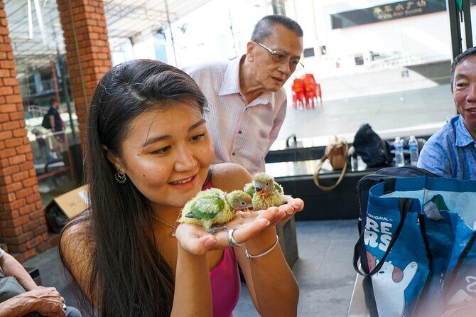 Feel the Heartbeat: A Singapore Chinatown Walking Tour - Introduction