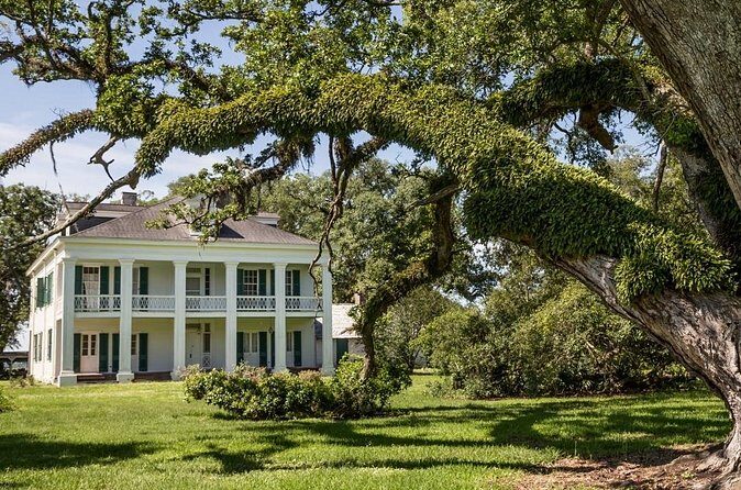 Felicity Plantation Tour - Who Will Appreciate This Tour?