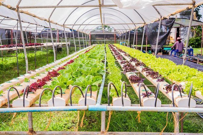 Fengjing Ancient Water Town Private Tour with Eco Farm Visit from Shanghai - FAQ