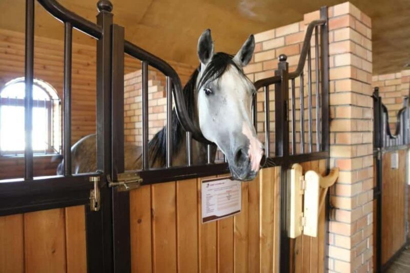 Fergana: Valley Horses Complex Tour with Horse Riding - Final Thoughts