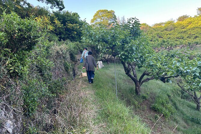 Fermented Bento Workshop on the Yamanobe-no-michi Trail (private) - FAQ