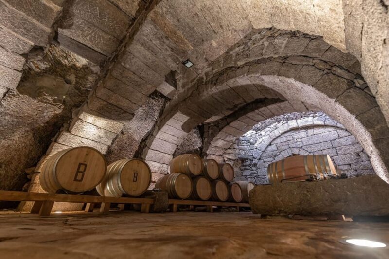 Fermoselle; Visit to the Historical Winery with Wine Tasting - A Detailed Look at the Fermoselle Winery Tour