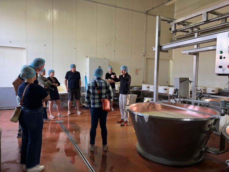 Ferrari, Parmesan and Balsamic Day Tour from Bologna - Key Points