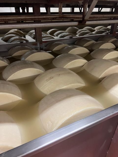 Ferrari, Parmesan and Balsamic Day Tour from Bologna - The Sum Up