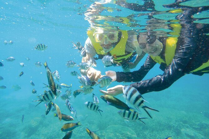 Ferry Transfer between Kuala Besut and Perhentian Island - Key Points