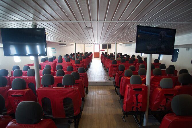 Ferry Transfer from Krabi Klong Jilad Pier to Phi Phi Tonsai - The Cost and Its Value
