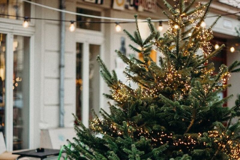 Festive Journey in Sirmione Christmas Walking Tour - What Our Thoughts Are