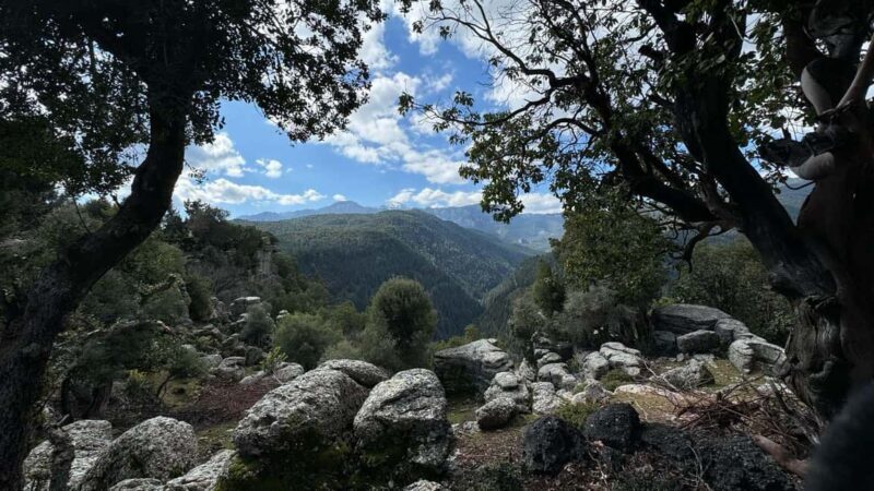 Fethiye: Antalya Old Town Guided Tour with Boat Trip - Who This Tour Is Best For