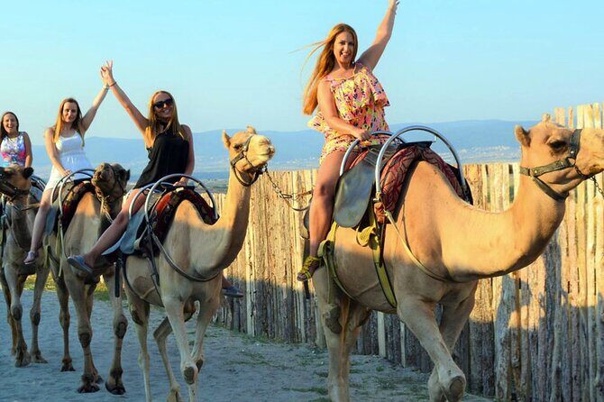Fethiye Camel Riding at Gosht Town - What to Expect and How It Stands Out
