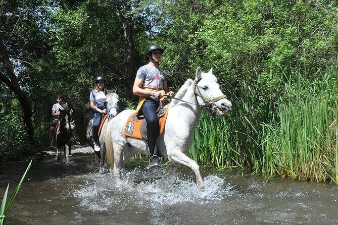 Fethiye Horse Riding Experience - Logistics and Practical Details