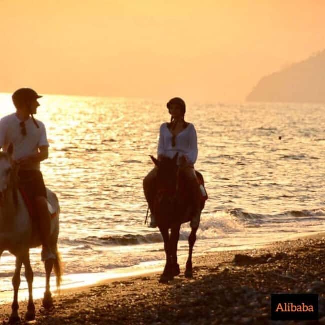 Fethiye Horse Riding in the Sea, Botanical Forest, Beach and Coastal Horseback Riding - Navigating the Experience: What’s It Really Like