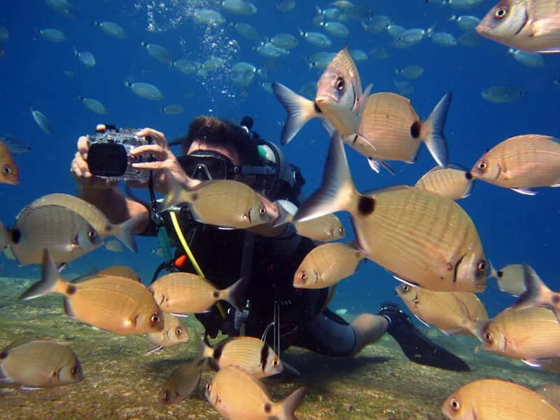 Fethiye: Ölüdeniz Scuba Diving Tour - Key Points