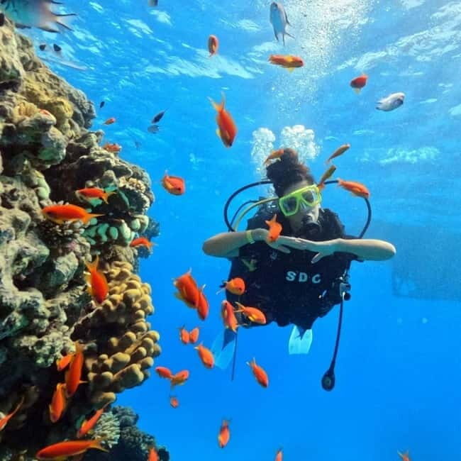 Fethiye Scuba Diving Tour: Free Shuttle Service - Lunch Included - What to Expect from the Fethiye Scuba Diving Tour