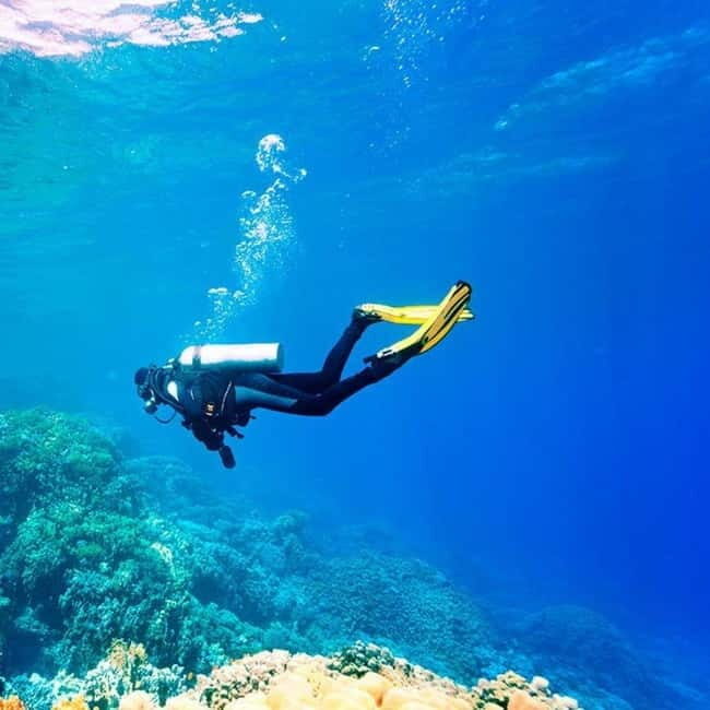 Fethiye Scuba Diving Tour: Free Shuttle Service - Lunch Included - Real Traveler Insights
