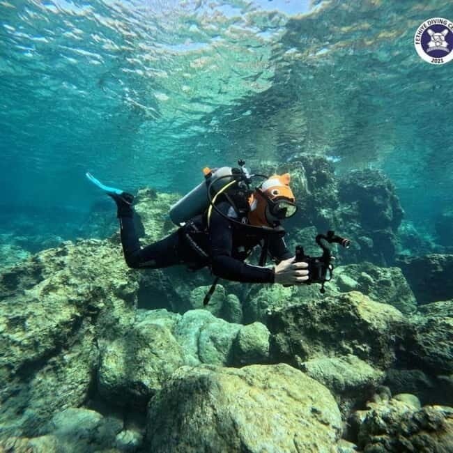 Fethiye Scuba Diving Tour: Free Shuttle Service - Lunch Included - Who Would Enjoy This Tour?