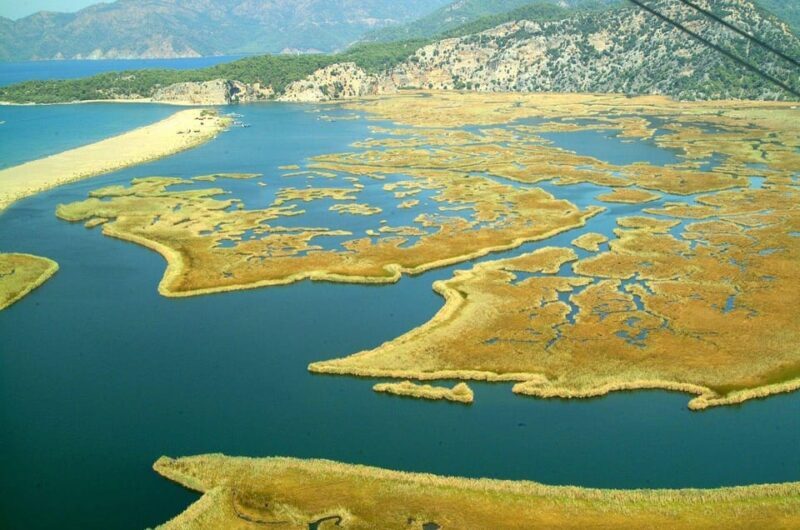 Fethiye:Dalyan Mud & Turtle Beach and River Cruise Day Trip - Practical Details and Value