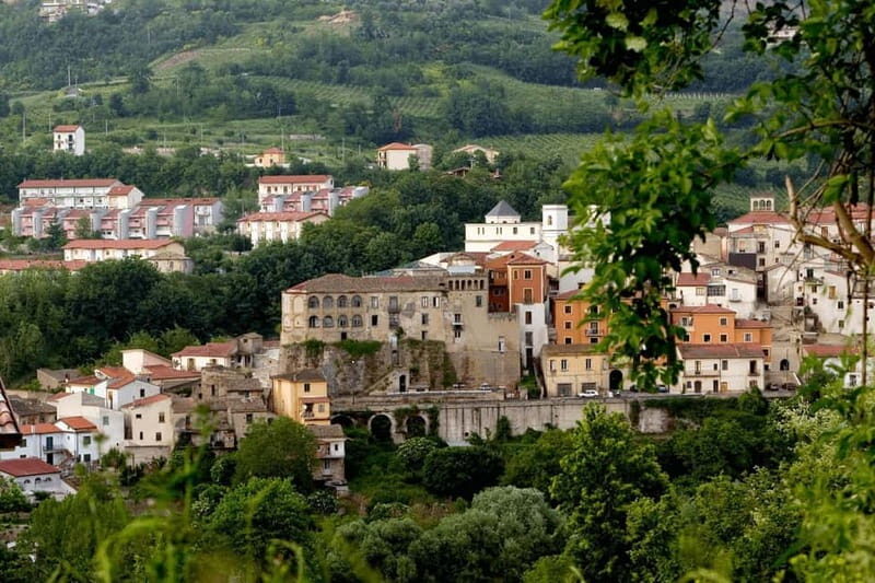 Feudi di San Gregorio: Wine Tasting Experience - An In-Depth Look at the Experience