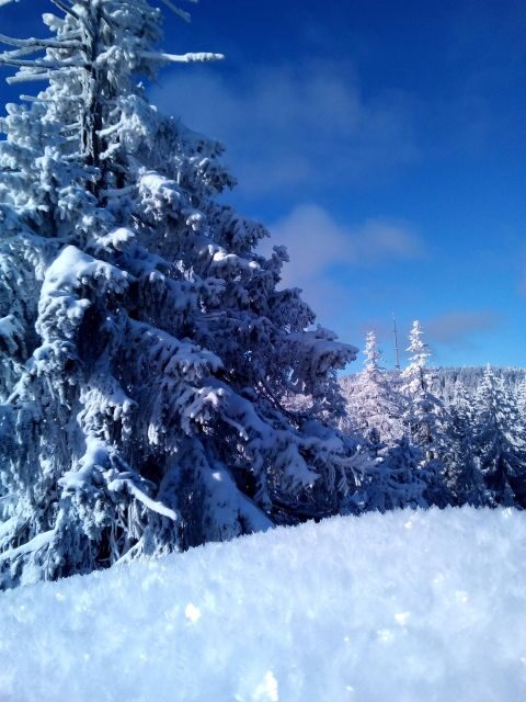 Fichtelgebirge: snowshoe hike - Key Points