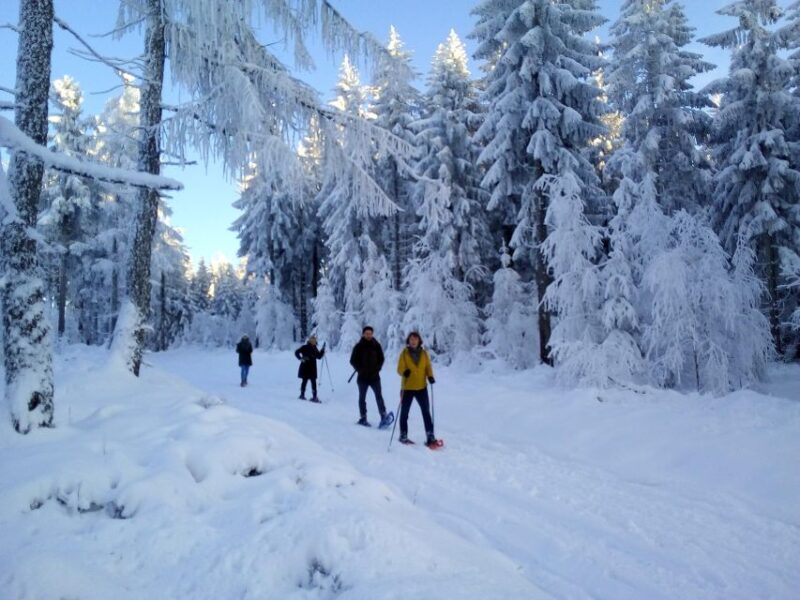 Fichtelgebirge: snowshoe hike - Who Would Enjoy This Tour?