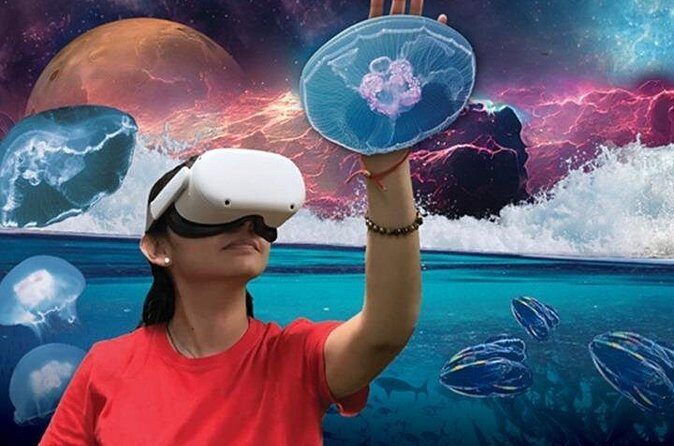 Field Museum Basic Admission Ticket Plus VR Experience - The Experience: A Deep Dive into the Museum & VR Adventure