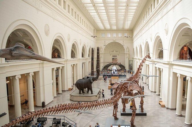 Field Museum Basic Admission Ticket Plus VR Experience - The Sum Up