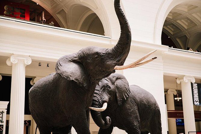 Field Museum of Natural History All-Access Pass - Introduction