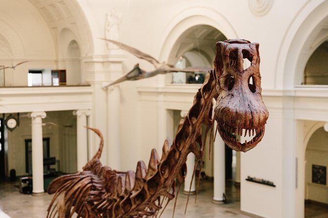 Field Museum of Natural History All-Access Pass - The Experience: What You Can Expect