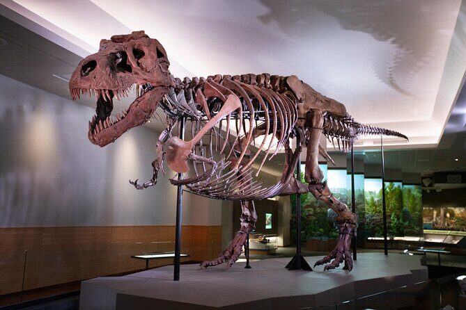 Field Museum of Natural History Early Access Ticket - The Experience: What You Can Expect