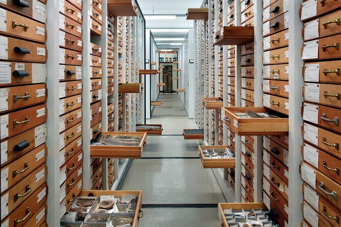 Field Museum of Natural History Early Access Ticket - The Sum Up: Is It Worth It?