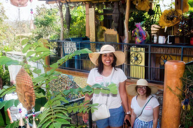 Fiesta Bike Tour in Todos Santos - Authentic Local Culture and Art