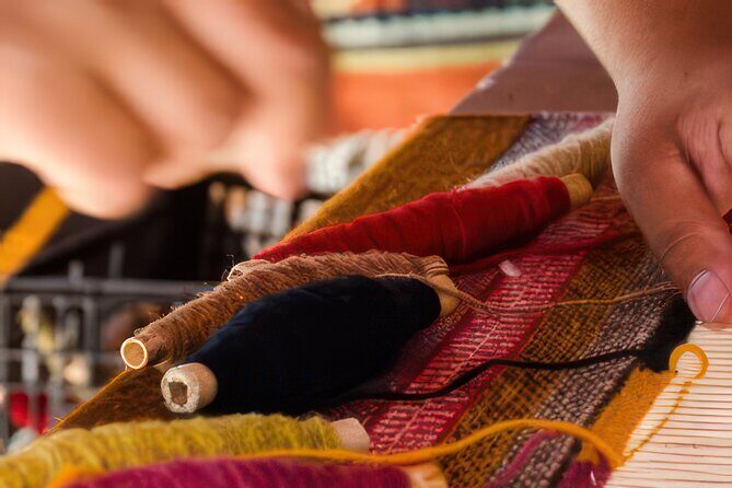 Fiesta Bike Tour in Todos Santos - Final Thoughts