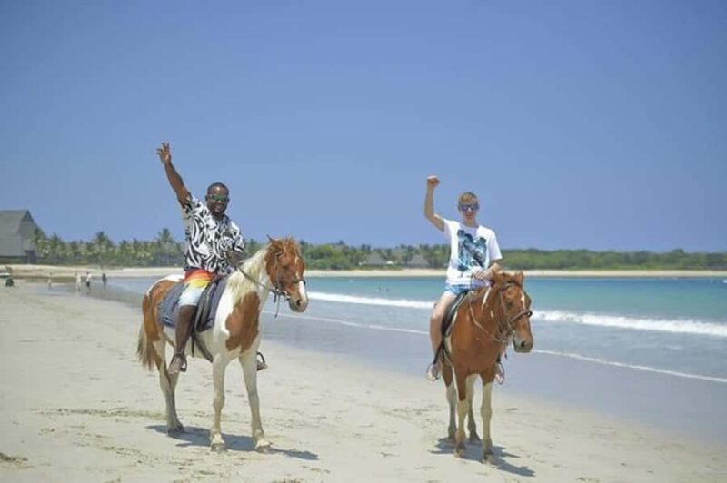 Fiji: Beach Horseback Riding Tour with Lunch and Transfer - The Itinerary — What’s It Like?